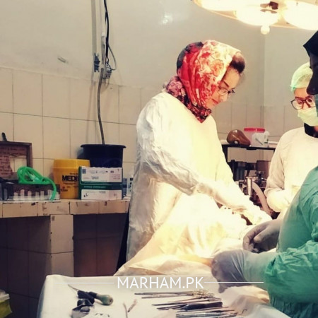 Dr. Huma Akbar - Dentist | Marham